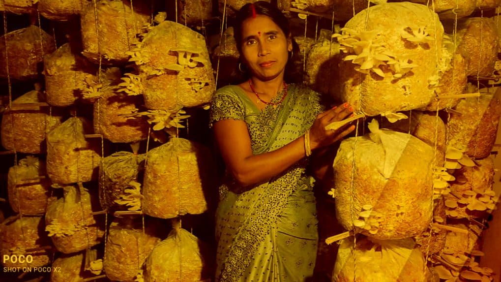 राष्ट्रपति और प्रधानमंत्री मोदी तक कर चुके हैं बिहार की इस मशरूम लेडी ...