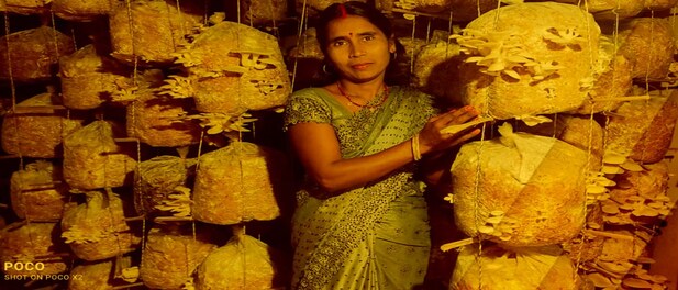 राष्ट्रपति और प्रधानमंत्री मोदी तक कर चुके हैं बिहार की इस मशरूम लेडी ...