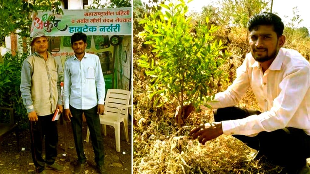 'इस' खेती के दम पर 7वीं पास युवक बना करोड़पति, पढ़िए इस किसान का गरीबी ...