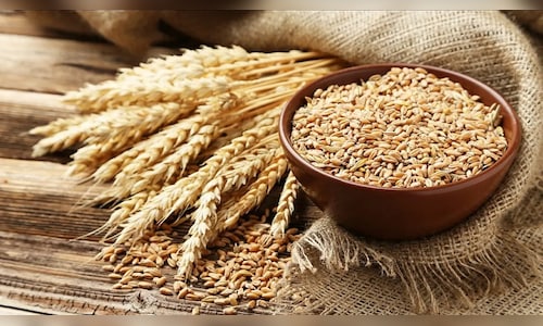 Wheat Price news: इस टेंशन भरे माहौल में गेहूं की कीमतों को लेकर आईं ...
