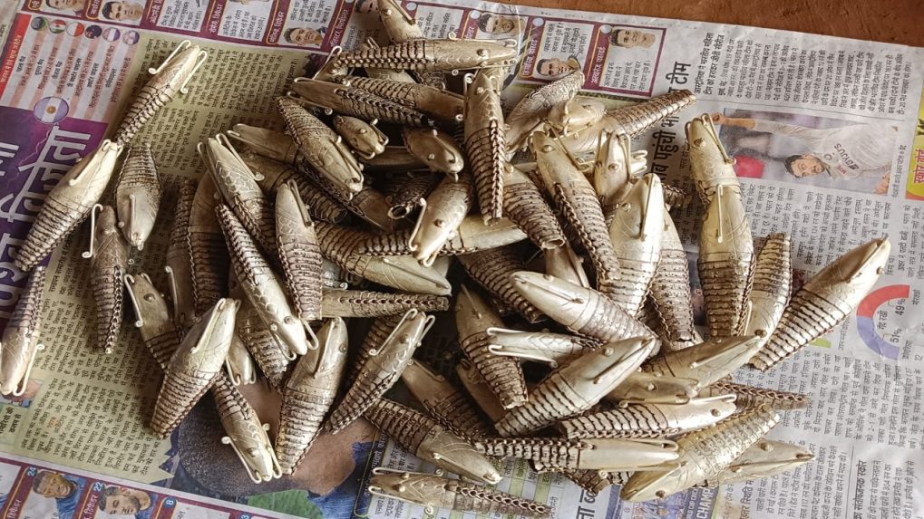 Photos: यहां मिलती है 2 लाख रुपए की एक मछली, देखिए आखिर इसमें क्या है ...