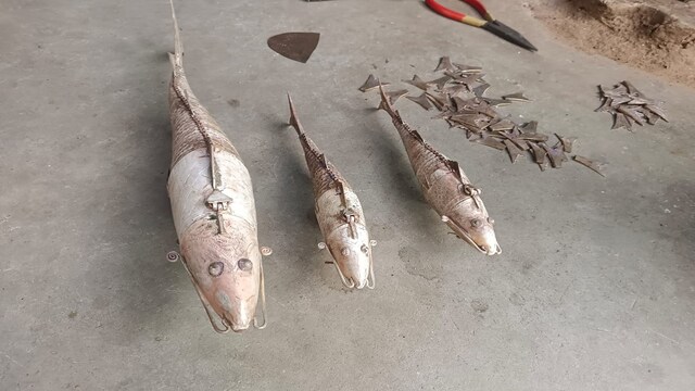 Photos: यहां मिलती है 2 लाख रुपए की एक मछली, देखिए आखिर इसमें क्या है ...