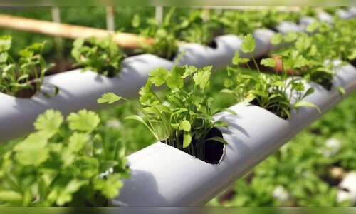 Electronic Soil: इलेक्ट्रॉनिक मिट्टी का हुआ आविष्कार, 15 दिनों में डबल ...