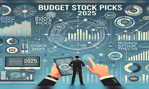 Budget Stock Picks 2025: एक्सपर्ट्स ने बताया क्यों बजट से पहले इन 2 ...