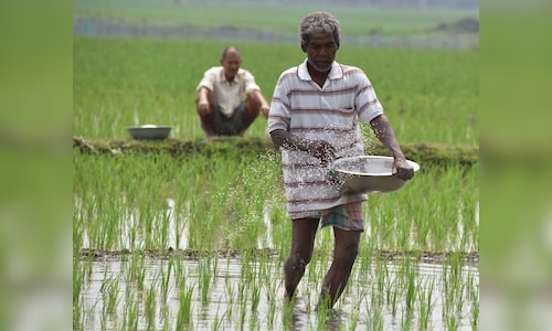 RCF sells 12,286 tonne sulphur-coated urea so far this year - CNBC TV18