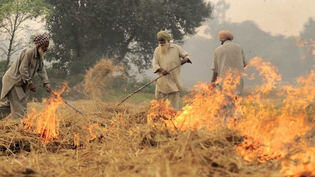 Stubble burning: Parliamentary Panel calls for MSP-like pricing for ...