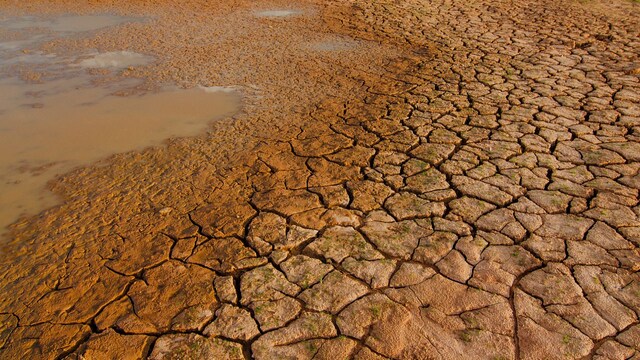 IMD forecasts hot and humid days, Odisha declares morning schools from ...