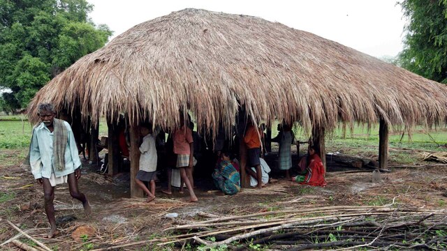 Three more bodies of Naxalites found after encounter in Chhattisgarh ...