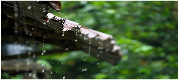 'Normal' monsoon predicted for India in 2024; Check state-wise details ...