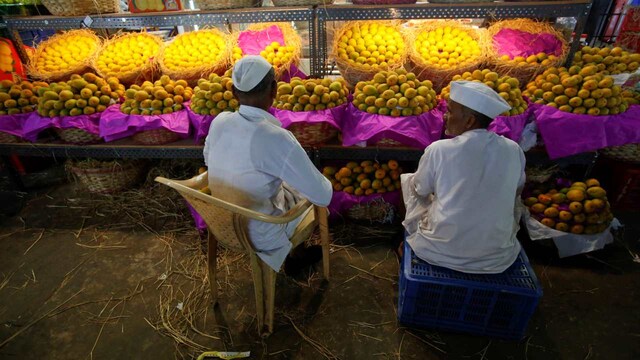 Top 10 Indian mango importers: UAE leads with 15,336 metric tonne ...