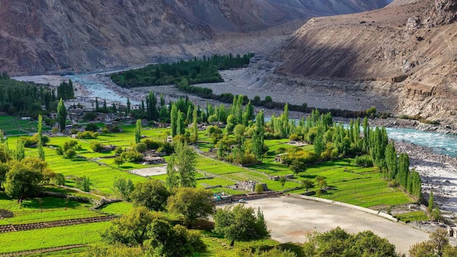 Ladakh LG approves constitution of Snow Leopard and High-Altitude ...