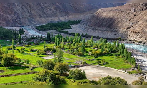Ladakh LG approves constitution of Snow Leopard and High-Altitude ...