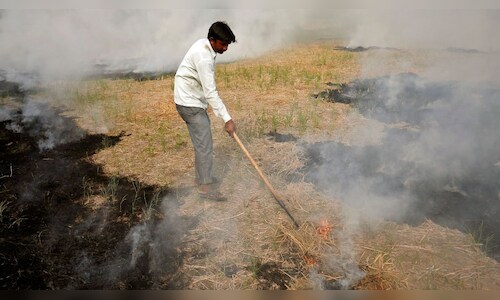 SC asks CAQM to apprise it about steps taken to curb pollution, stubble ...