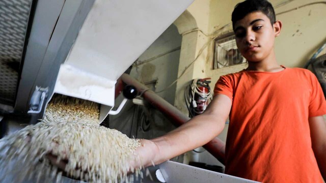 Why India's easing of export curbs is important to global rice trade ...