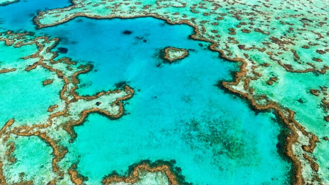 Australia's Great Barrier Reef hit by most extensive bleaching event on ...