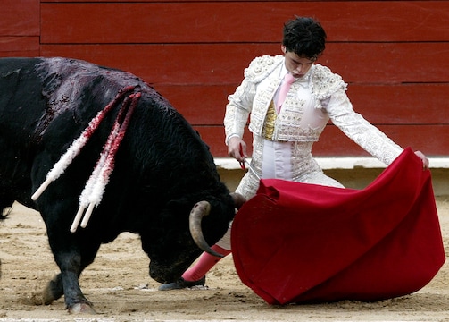 Spain abolishes national bullfighting award amid growing animal welfare ...