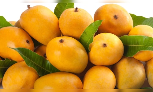 10 most-famous mango varieties in India: Check the sweetest picks of ...