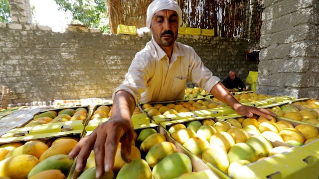 10 most-famous mango varieties in India: Check the sweetest picks of ...