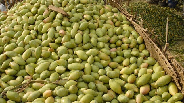 10 most-famous mango varieties in India: Check the sweetest picks of ...