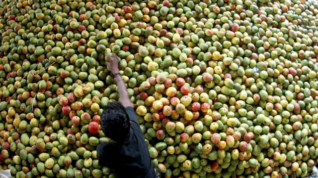 10 most-famous mango varieties in India: Check the sweetest picks of ...