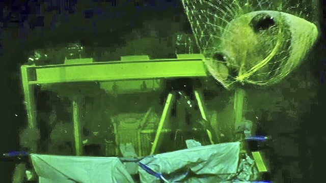 3,300-year-old shipwreck discovered in Mediterranean could change ...