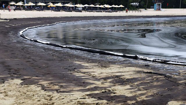 In pics: Singapore shuts beaches of Sentosa resort island after oil ...