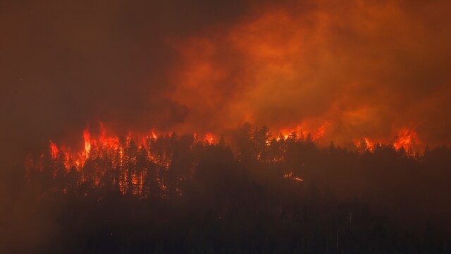 Park Fire becomes California's sixth largest wildfire destroying over ...