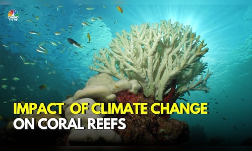 The Great Barrier Reef: How climate change is killing the world’s ...