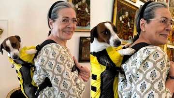 Rahul Gandhi shares adorable photo of Sonia Gandhi with pet dog Noorie ...
