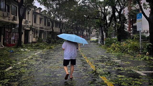 Typhoon Bebinca hits Shanghai as strongest storm since 1949, flights ...