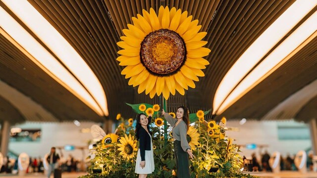 Singapore's Changi airport adds one more feature to delight travellers ...
