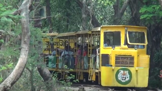 Mumbai: Toy train 'Van Rani' to run again in Sanjay Gandhi National ...