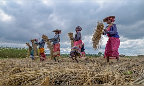 India's low-paid wage workers decline by 6.3% in 10 years, says ILO ...