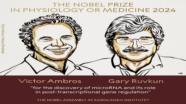 bel Prize | Why identification of microRNA deserves Nobel Prize for ...