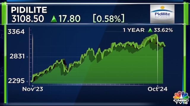 Pidilite Industries aims to soon achieve double-digit growth in its ...