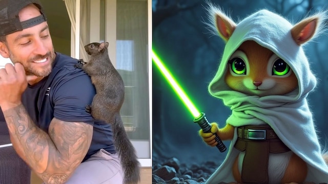 Elon Musk, fans rally for justice after Peanut the squirrel’s ...