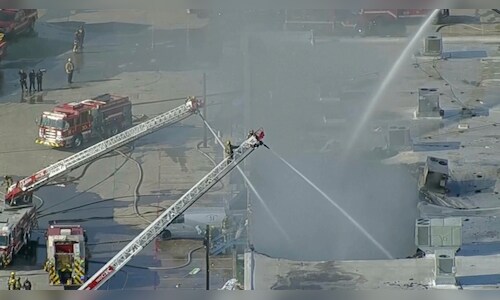 Fire at Dallas shopping center kills over 570 animals in pet shop ...