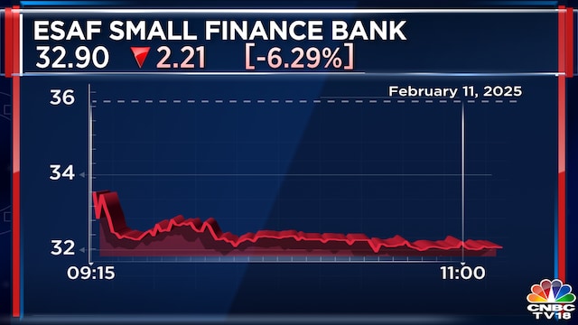 ESAF Small Finance Bank shares decline 6% to hit 52-week low after net ...