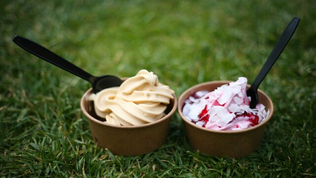 How to make froyo with only 3 ingredients to beat this summer heat ...