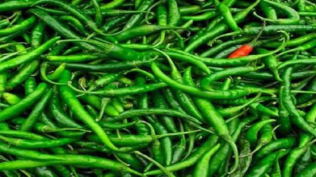 Indians love their spices, but the hottest chillies in the world come ...