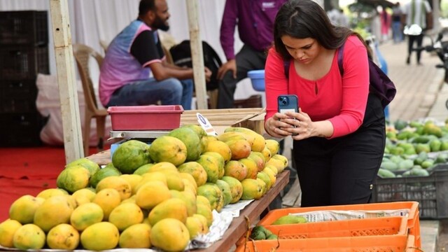 Top mango-producing regions in India and the world - CNBC TV18