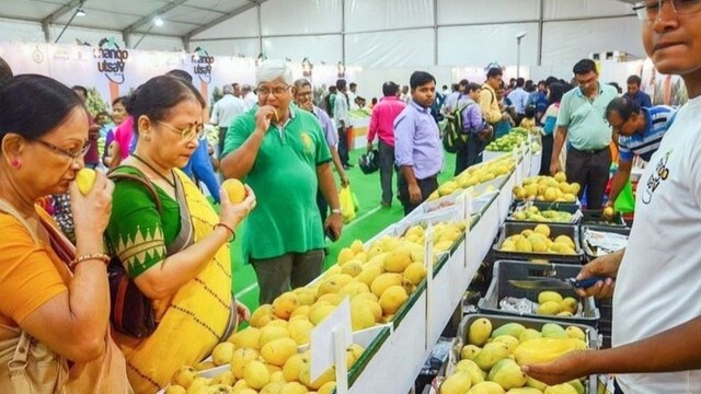 Top 10 Indian mango importers: UAE leads with 15,336 metric tonne ...