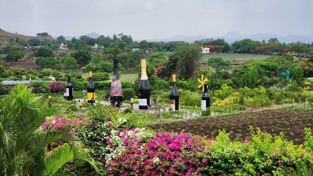 Wine tasting tours: From vineyards in Nashik to Tuscany and Bordeaux in ...