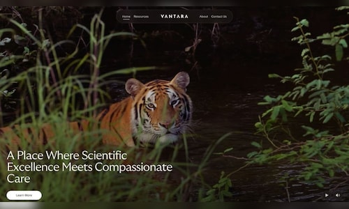 Vantara launches new website to bring wildlife conservation closer to ...