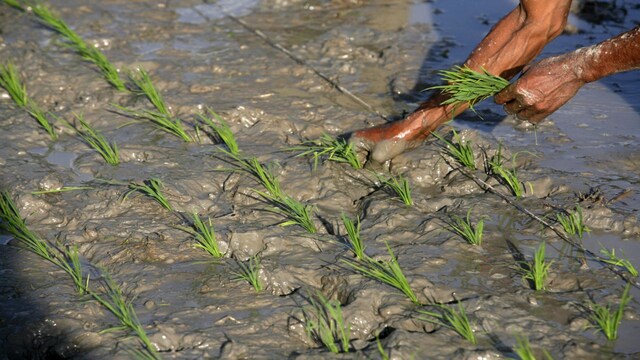 Monsoon 2025 ends with 8% above-normal rainfall, says IMD - CNBC TV18
