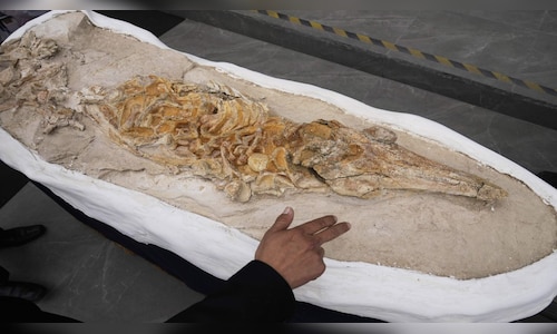In Pics: Rare 8-million-year-old dolphin-like fossil discovered in Peru ...