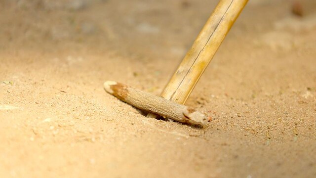 Traditional Onam Games (Onakalikal): From Tug of War to Pulikali - CNBC ...