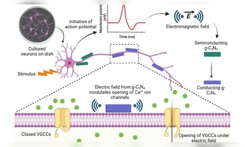 Researchers discover nanomaterial that stimulates brain cells without ...