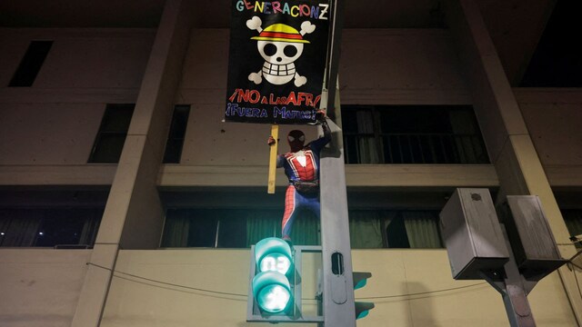 From Manga to marches: See how One Piece’s straw hat flag became a ...