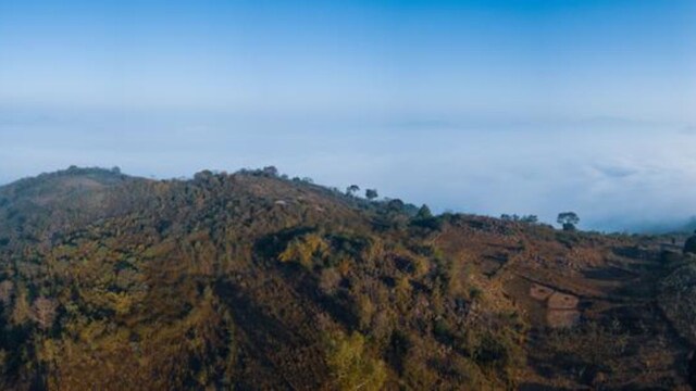Lambasingi: The frost-covered 'Kashmir of Andhra Pradesh' where ...